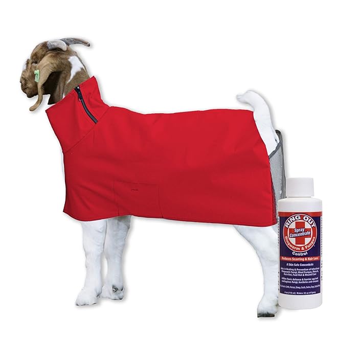 Buy Red Goat Blanket Nylon with Mesh Butt for Show Goats - Livestock ...