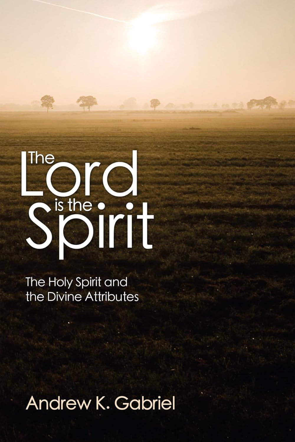 The Lord is the Spirit: The Holy Spirit and the Divine Attributes ...