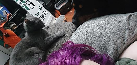 Amazon.com : Pulp Riot Semi-Permanent Hair Color 4oz- Velvet : Beauty ...