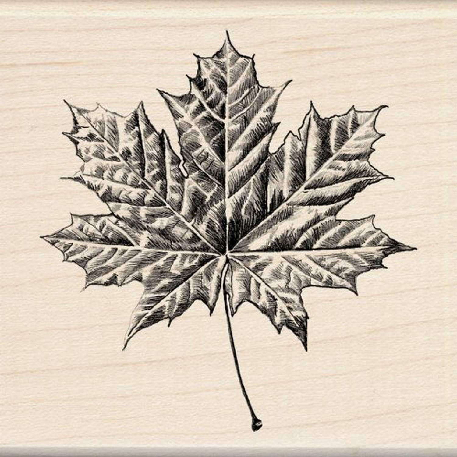 Amazon.com: Stamps by Impression Maple Leaf Rubber Stamp 171 : Toys & Games