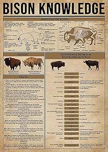 Amazon.com : Bison Knowledge Metal Tin Signs Bison Information Retro ...