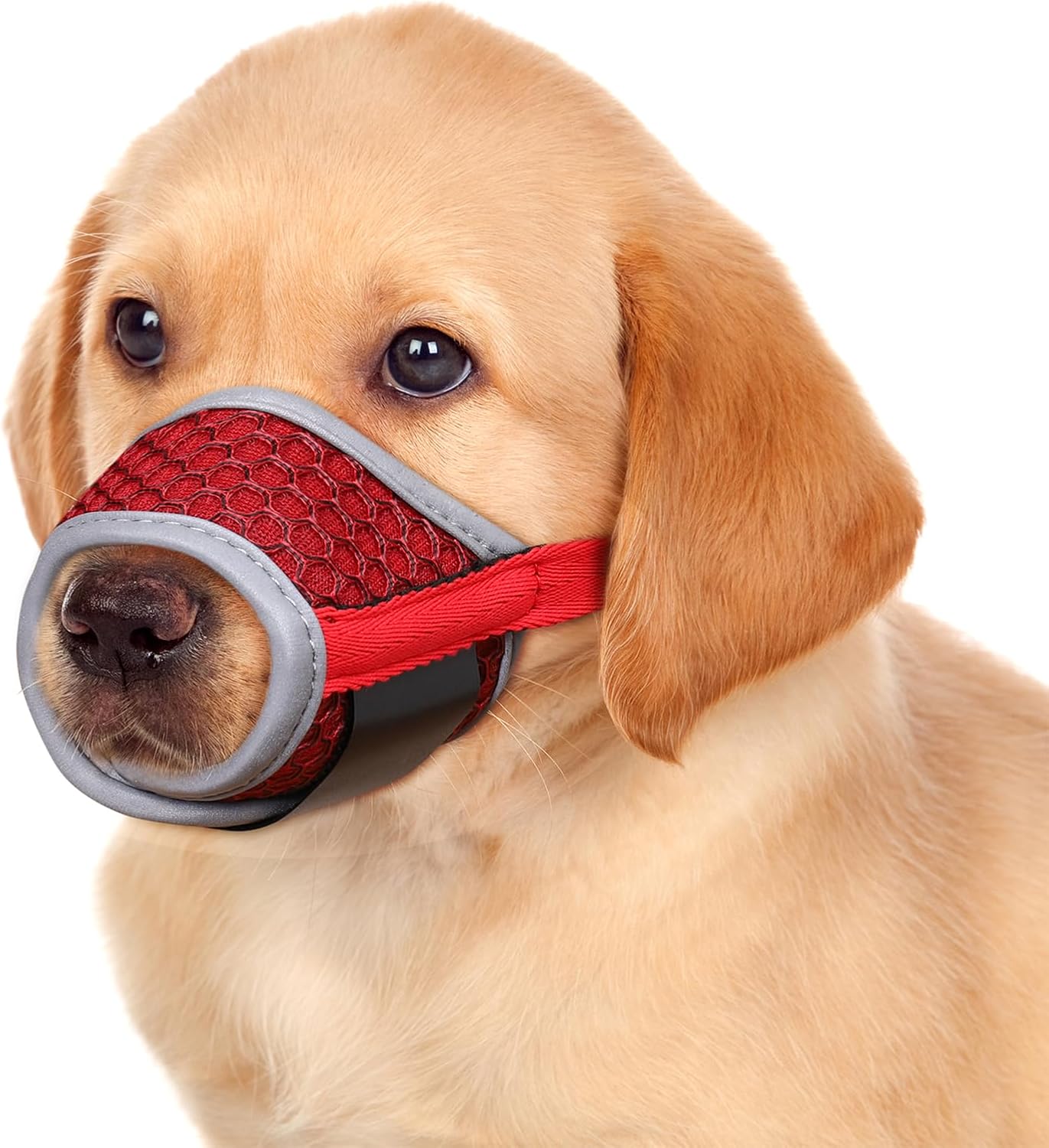 Amazon.com: Bozal para perro, bozales suaves para perros pequeños ...