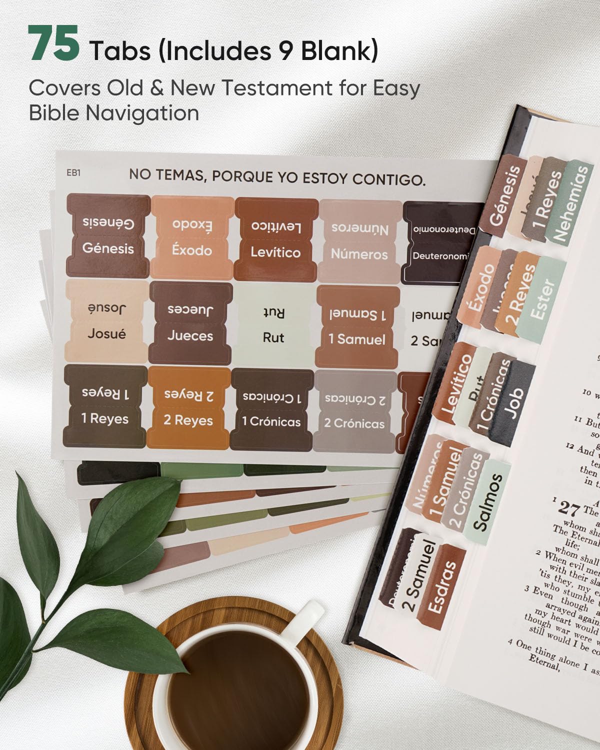 Snapklik.com : Spanish Bible Tabs For Women And Men, Separadores De ...