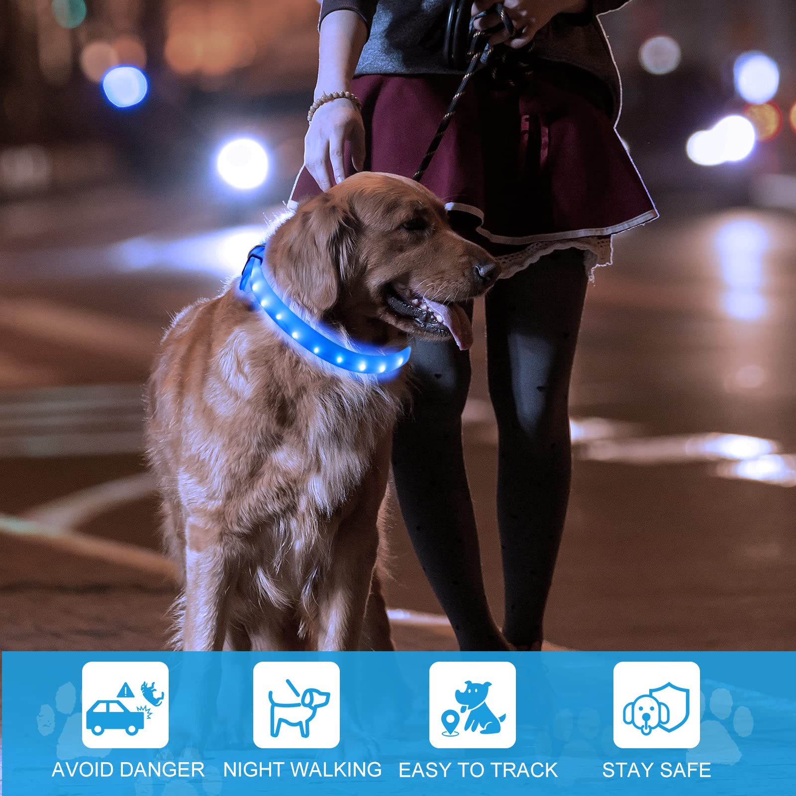 Snapklik.com : NOVKIN Lighted Dog Collar, Rechargeable 7 Colors ...