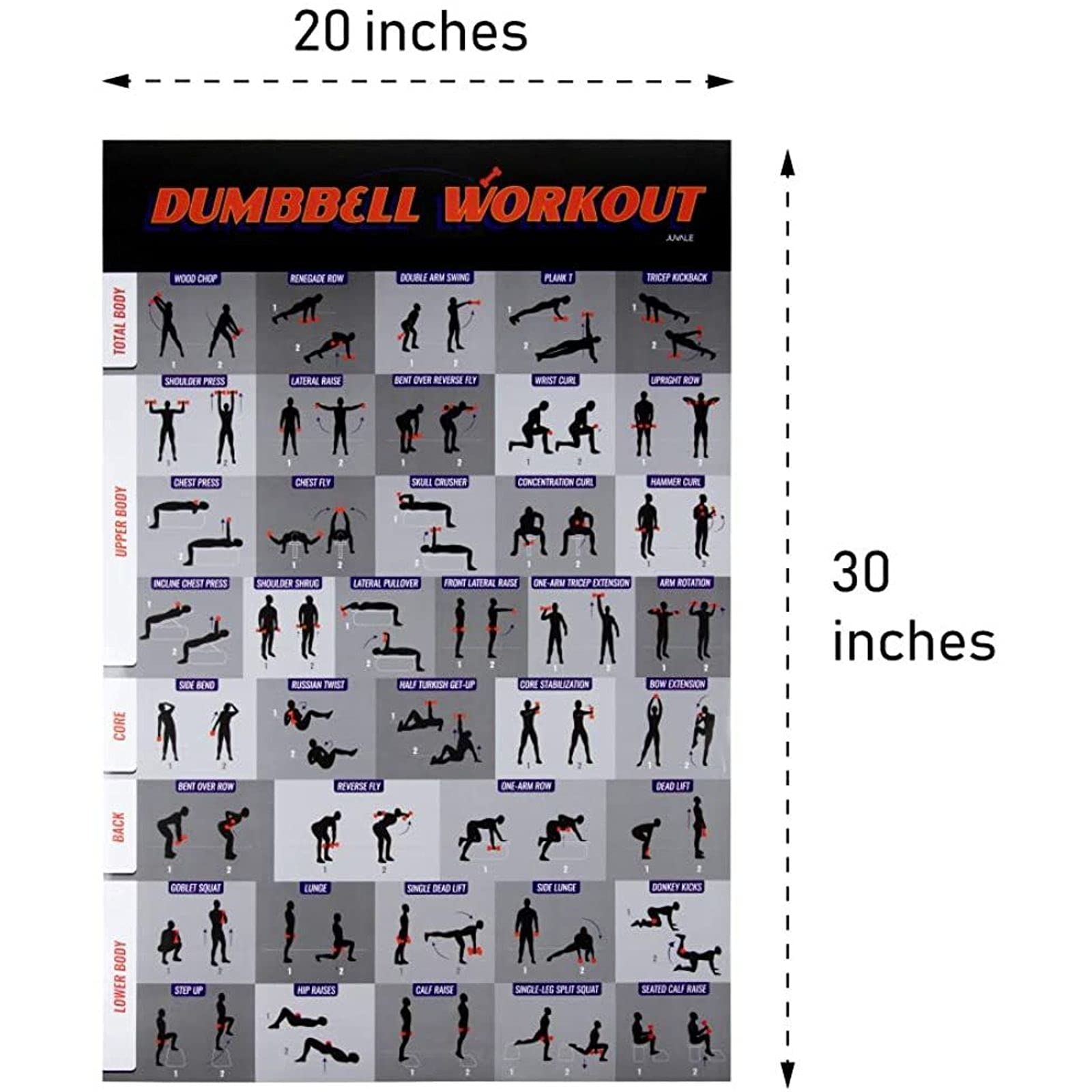 Weightlifting Posters Charts at Douglas Wilder blog