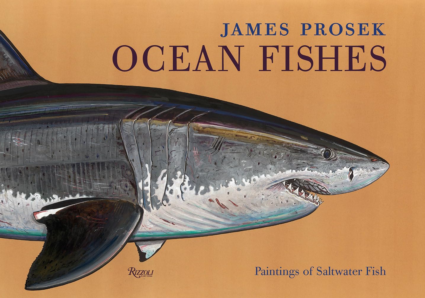 James Prosek: Ocean Fishes: Paintings of Saltwater Fish: Prosek, James ...