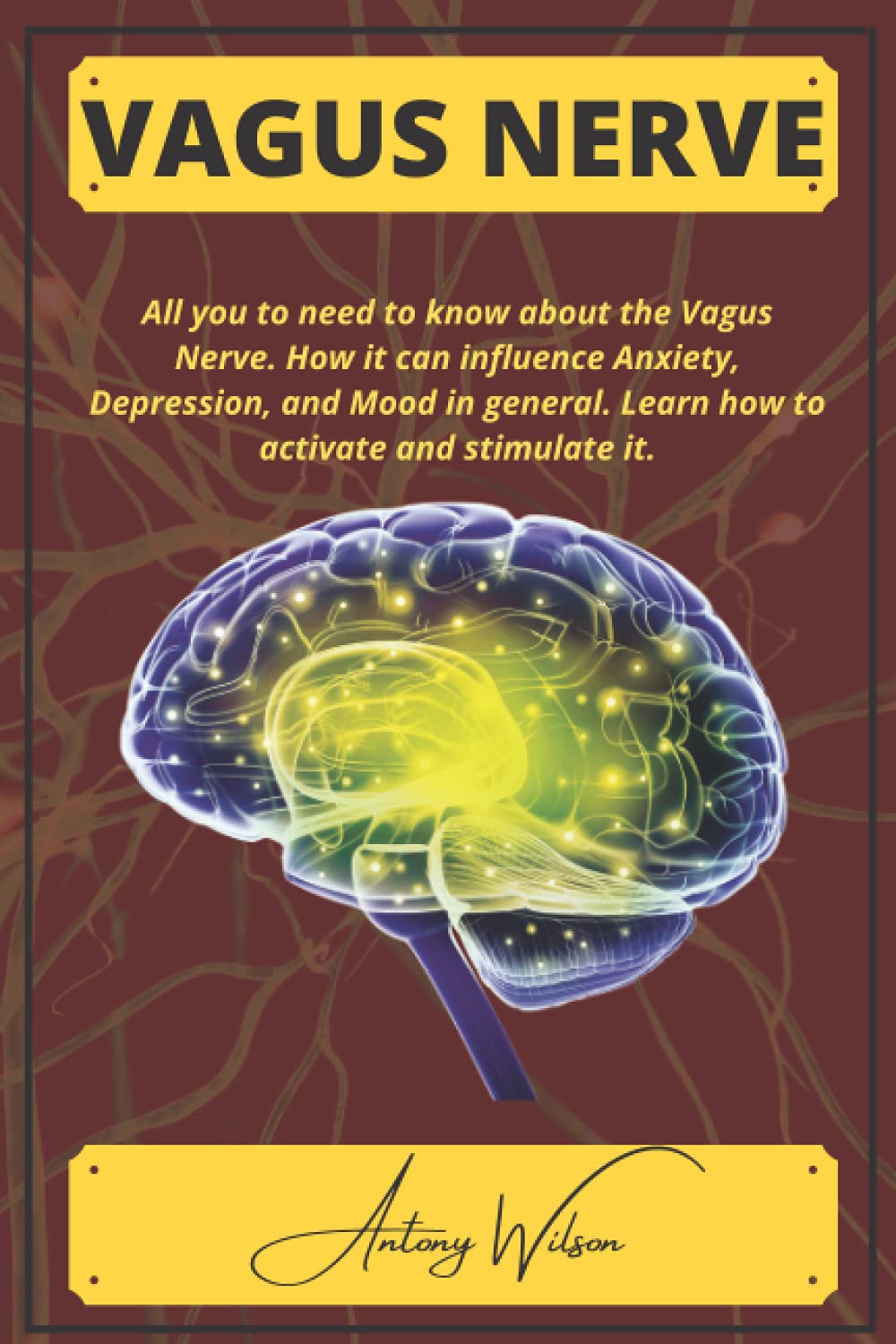 Vagus Nerve All You Need To Know About The Vagus | Desertcart INDIA