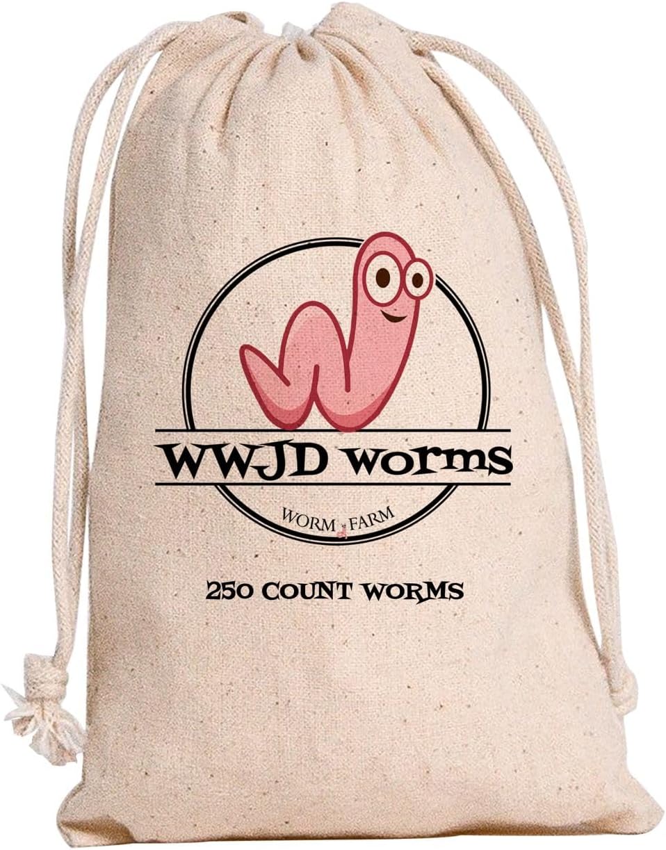 Amazon.com : WWJD Worms The Box of Life Worm Wood Composter - Odorless ...