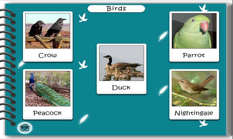 Fun With Flashcard By Tinytapps:Amazon.co.uk:Appstore for Android