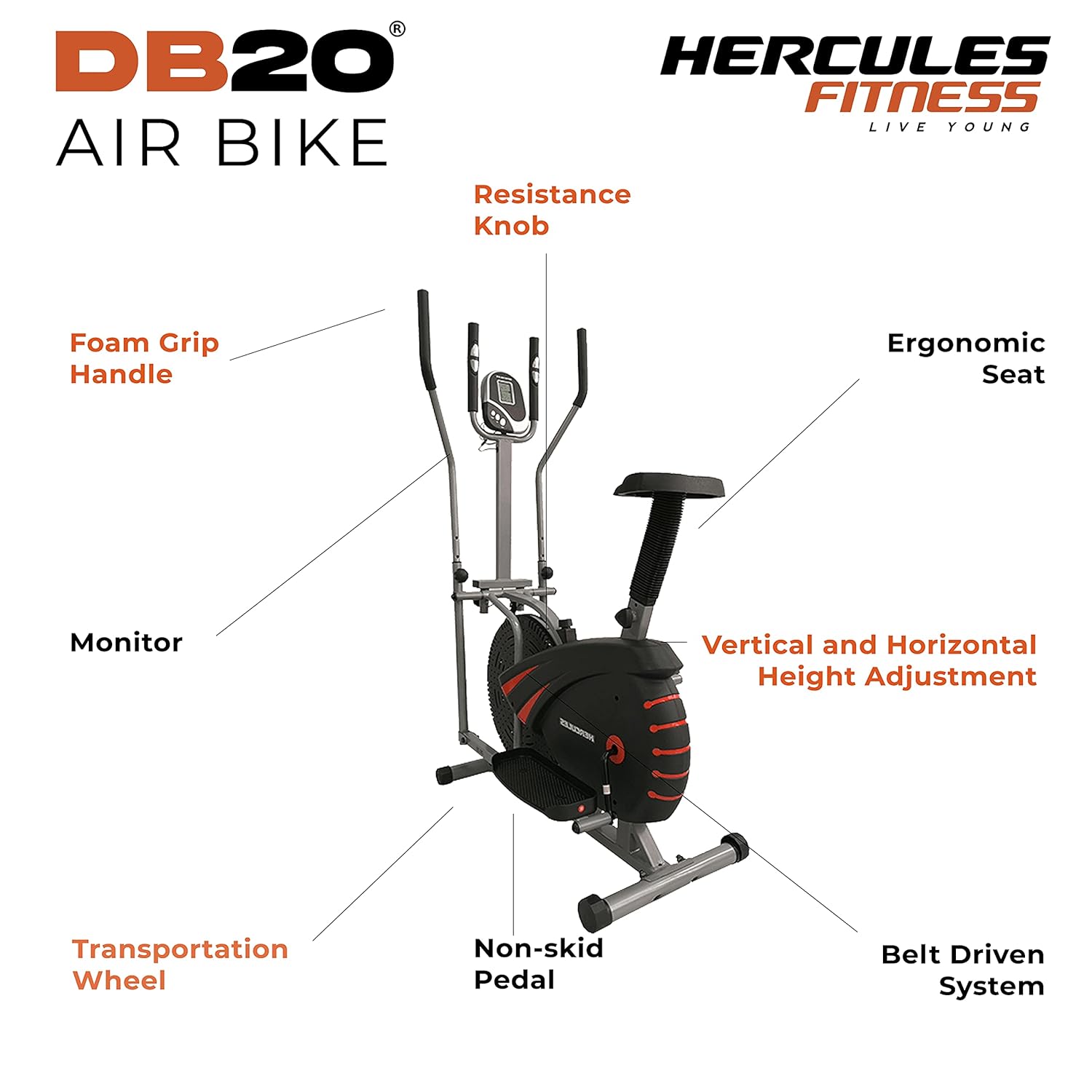 DB20 Track Trail | atelier-yuwa.ciao.jp