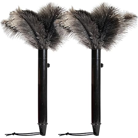 Amazon.com: Retractable Ostrich Feather Duster for Cleaning, Fluffy and ...
