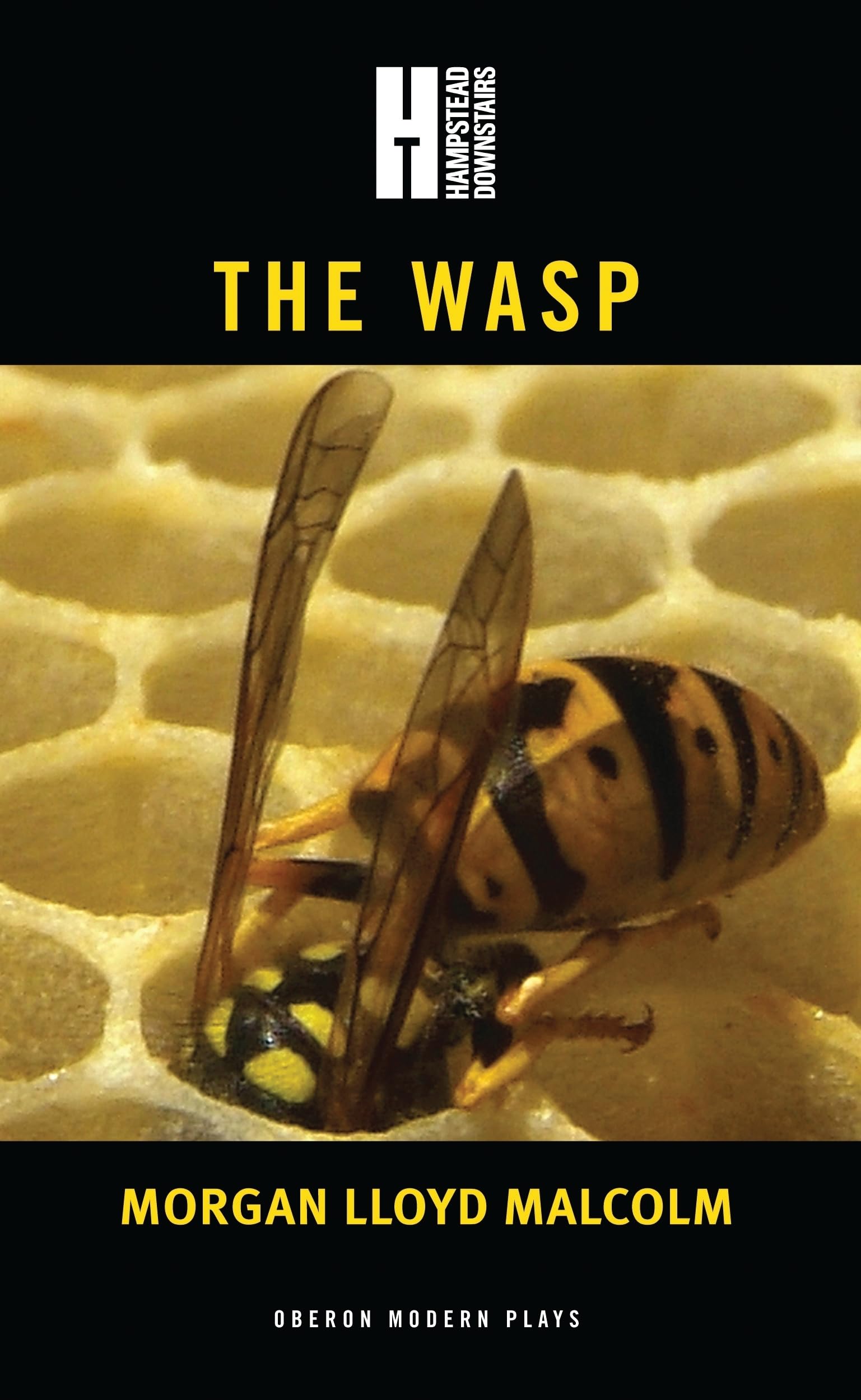 The Wasp (Oberon Modern Plays): Malcolm, Morgan Lloyd: 9781783198603 ...