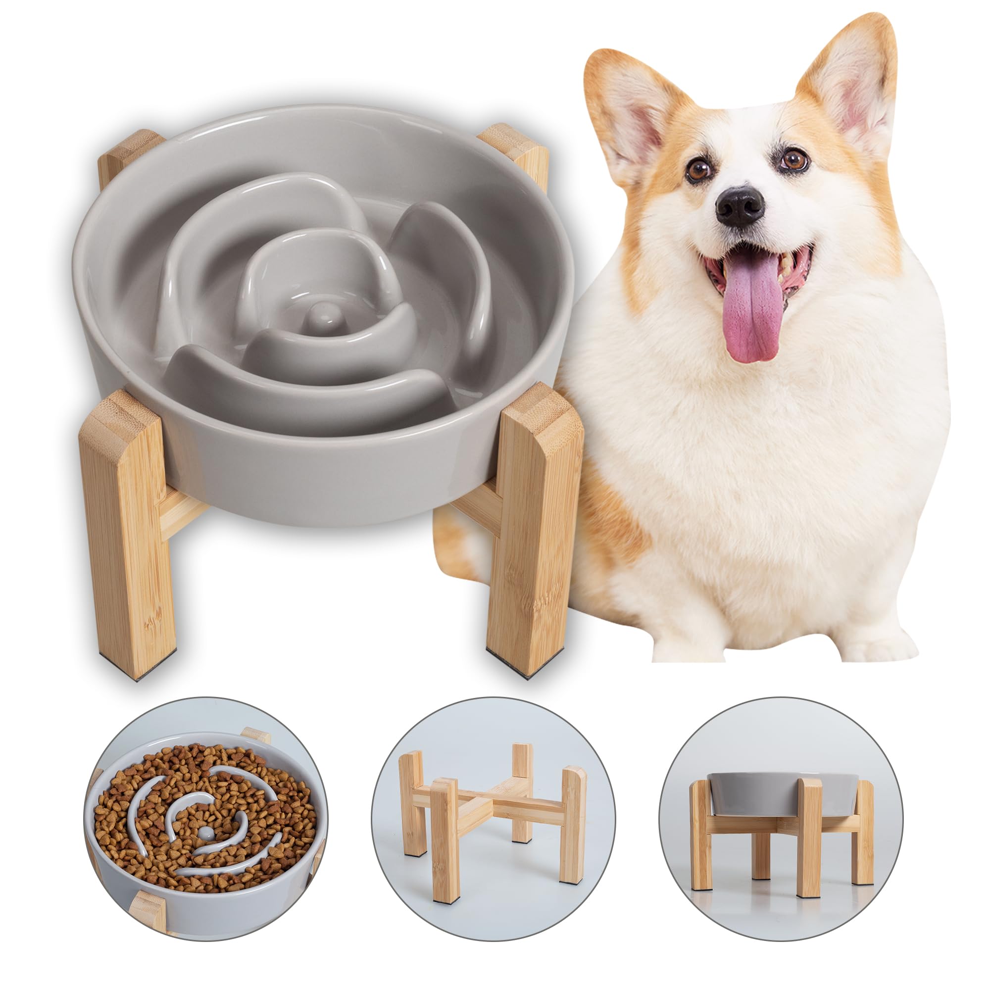 Amazon.com : Elevated Slow Feeder Dog Bowl - Raised Ceramic Dog Bowl with Anti-Slip Stand - Fun ...