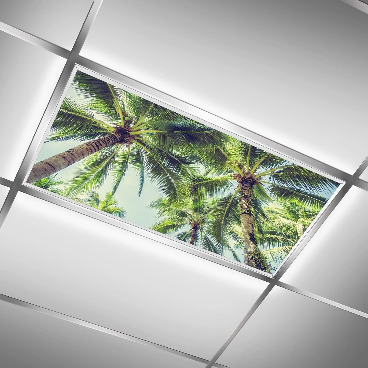 Amazon.com: Summer Tropical Palm Tree Top View Ceiling Light Cover ...