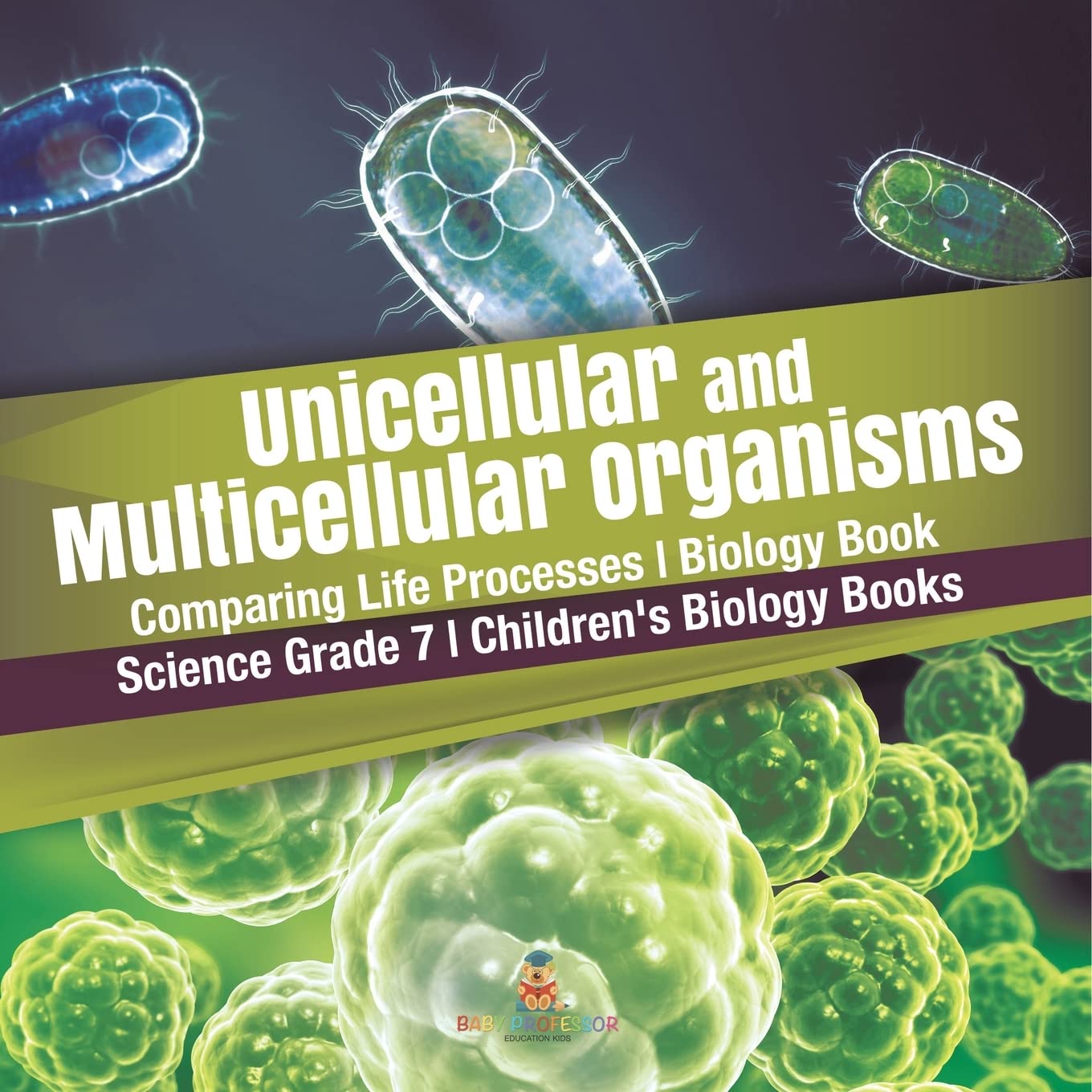 Unicellular Organisms For Kids Origins Of Multicellular Organisms