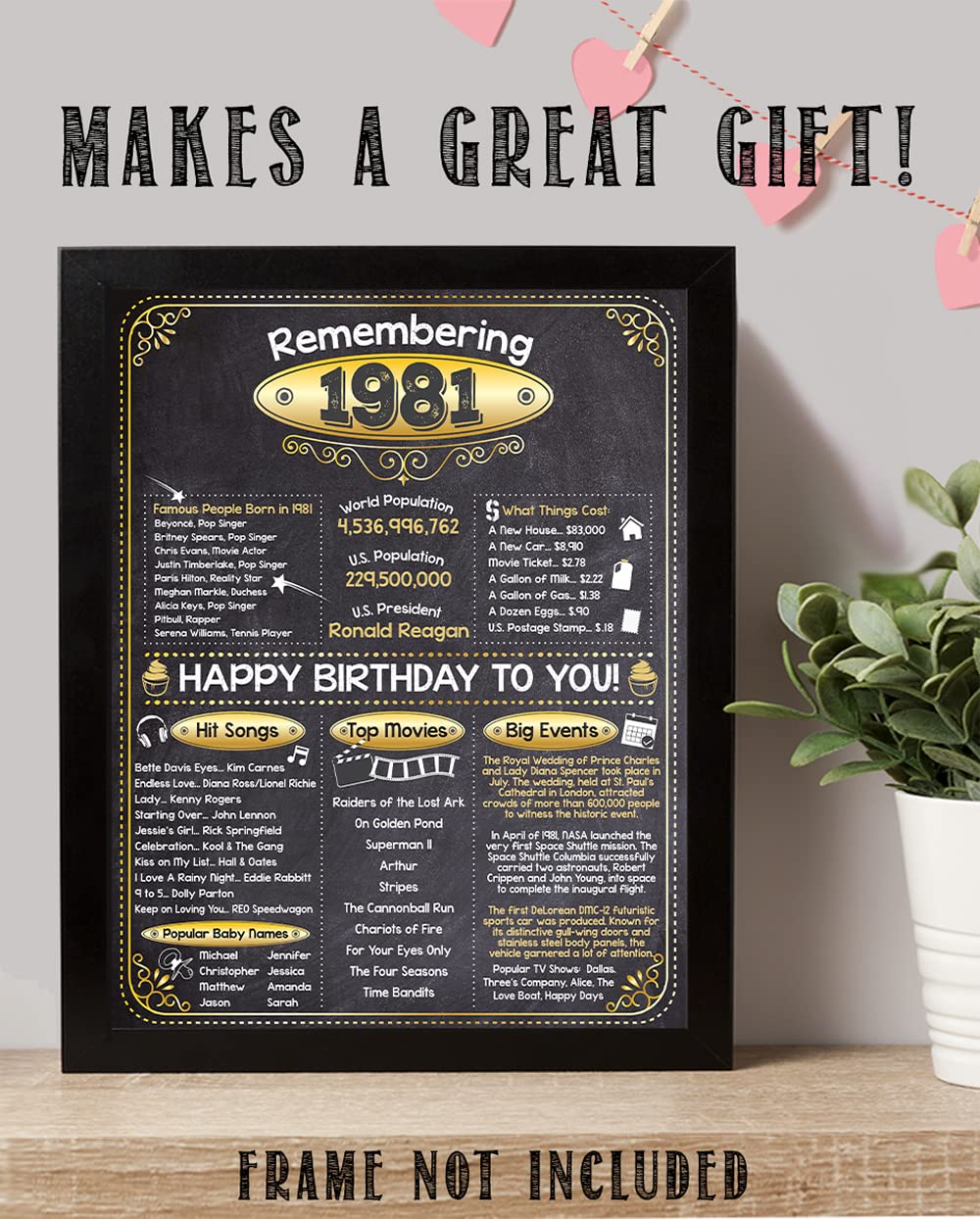 Buy 41st Birthday Party Decorations for 41st Birthday (Forty-one ...