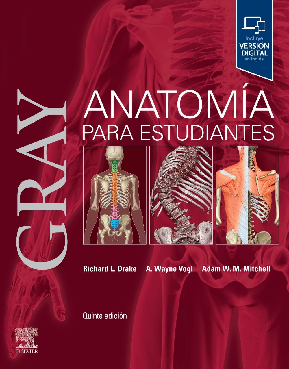 Amazon.com: Gray. Anatomía para estudiantes: 9788413826226: Drake ...