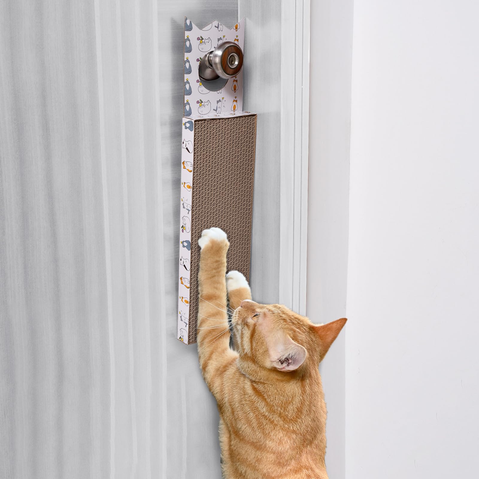 Amazon.com : Hanging Cat Scratcher,cat Scratcher，cat Scratching Board ...