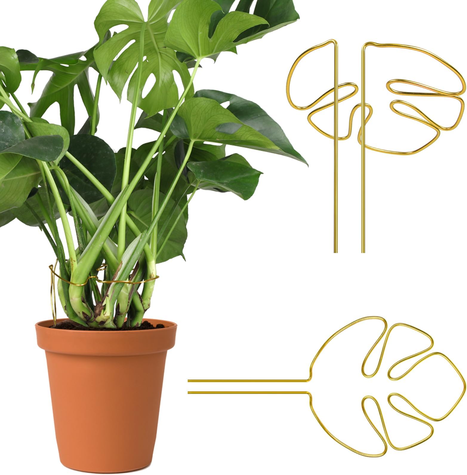 Amazon.com : 2 pcs Monstera Plant Support,Unique Monstera Shaped Plant ...