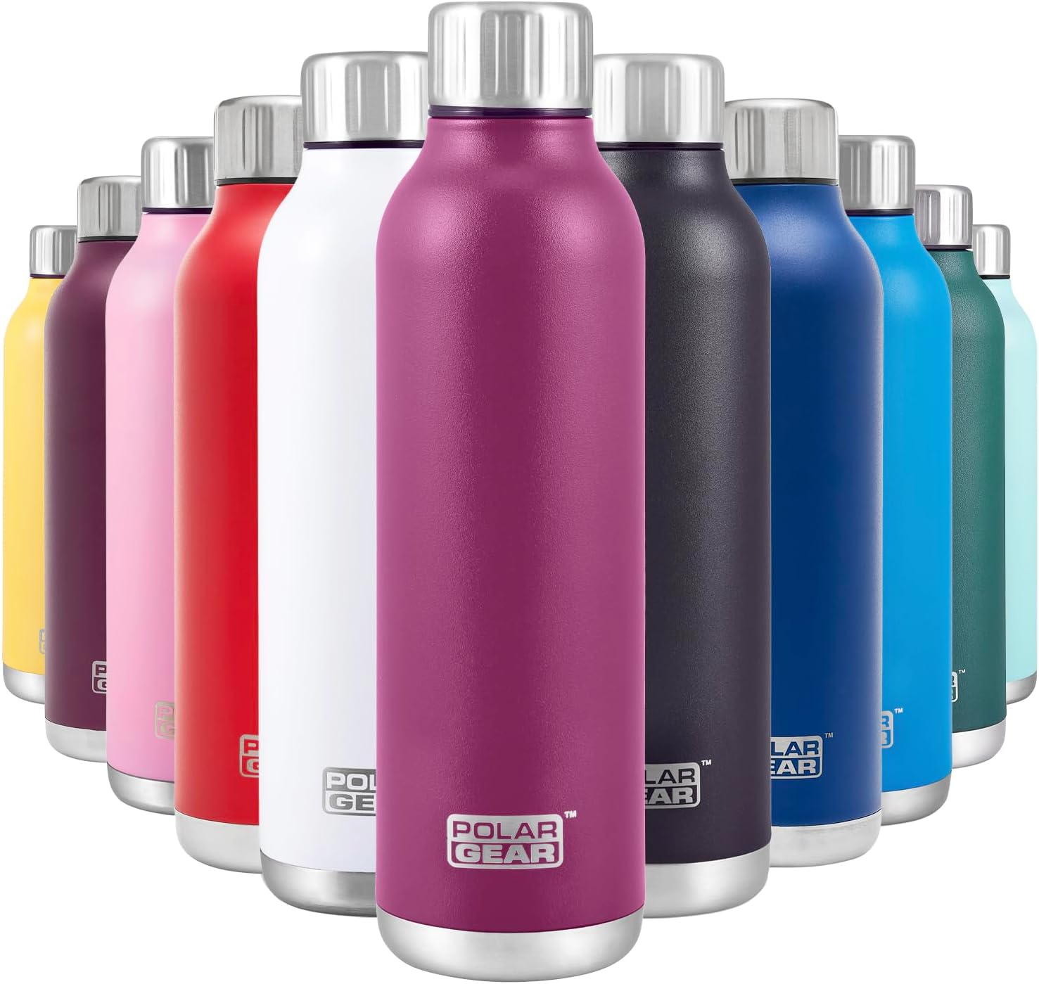 BIGGS & BANE Stainless Steel Water Bottle - Double Walled Vacuum ...