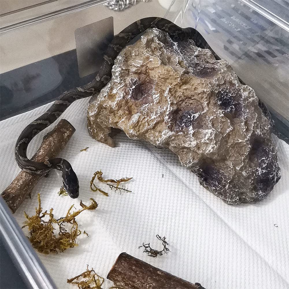 Snapklik.com : Reptile Rock Hide Cave Resin Large Reptile Hideouts ...