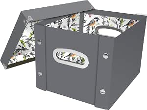 Snap-N-Store Storage Box with Lid, Assembled - 10 H x 8 W x 11.25 L ...