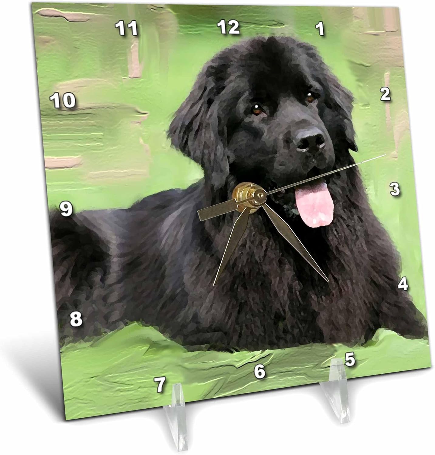 Amazon.com: 3dRose 6x6 Desk Clock - Newfoundland Dogs Newfoundland ...