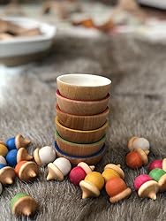 Amazon.com: Wooden Acorns Counting & Sorting Kit - Unfinished Wood Set ...
