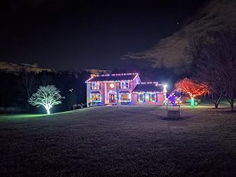 Amazon.com: Canny Systems Ridge Clip Christmas Light Clips for Roof ...