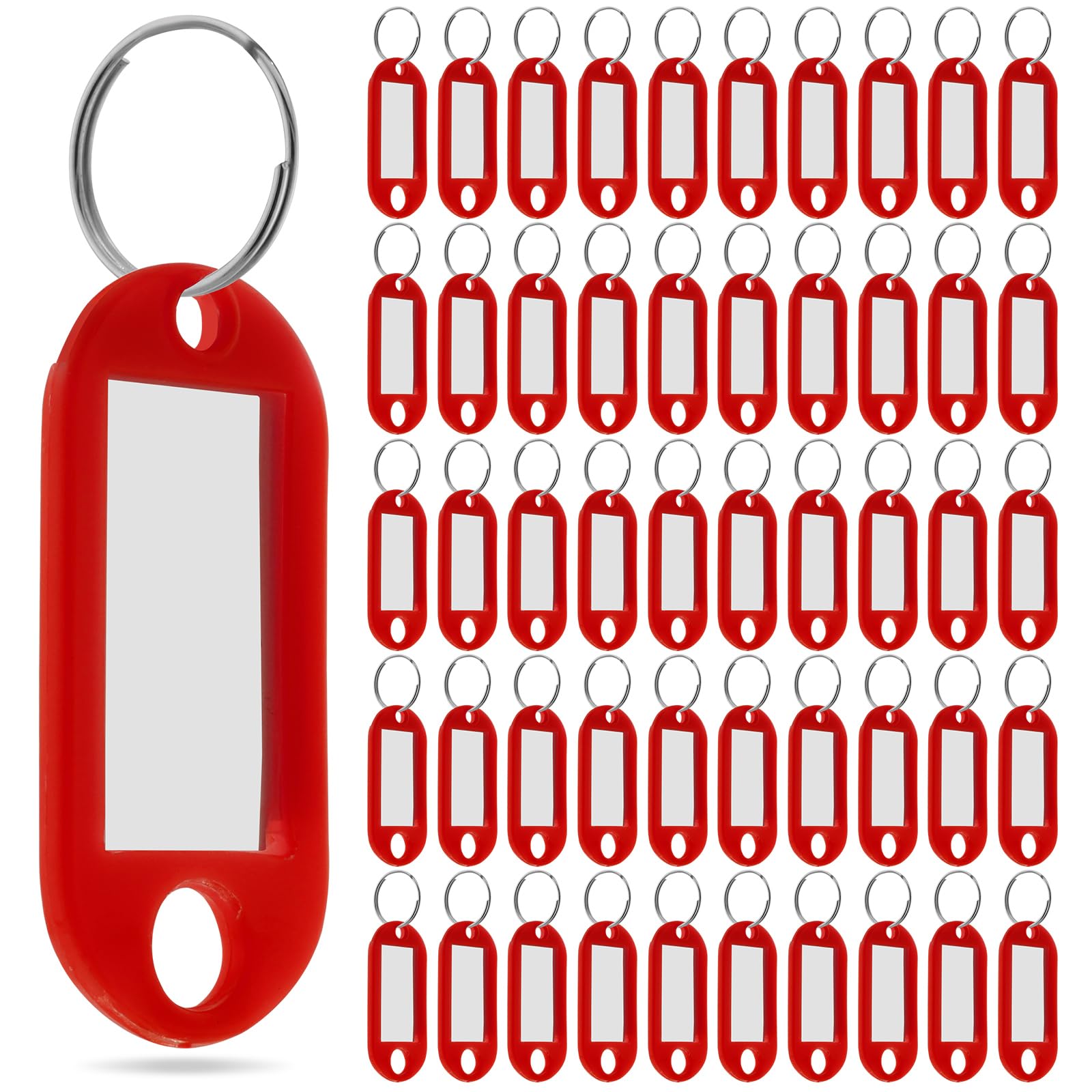 Amazon.com : 50 Pcs Plastic Key Tags with Label Window Key Ring Tags ...