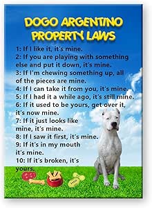 Amazon.com: Dogo Argentino Property Laws Fridge Magnet Argentine ...