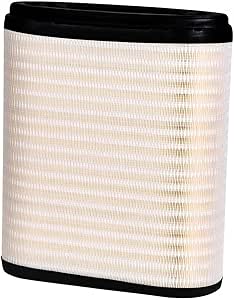 Amazon.com: Filtro de aire de motor D37-1061 apto para KENWORTH T680 2023 / PETERBILT 579 2023 ...