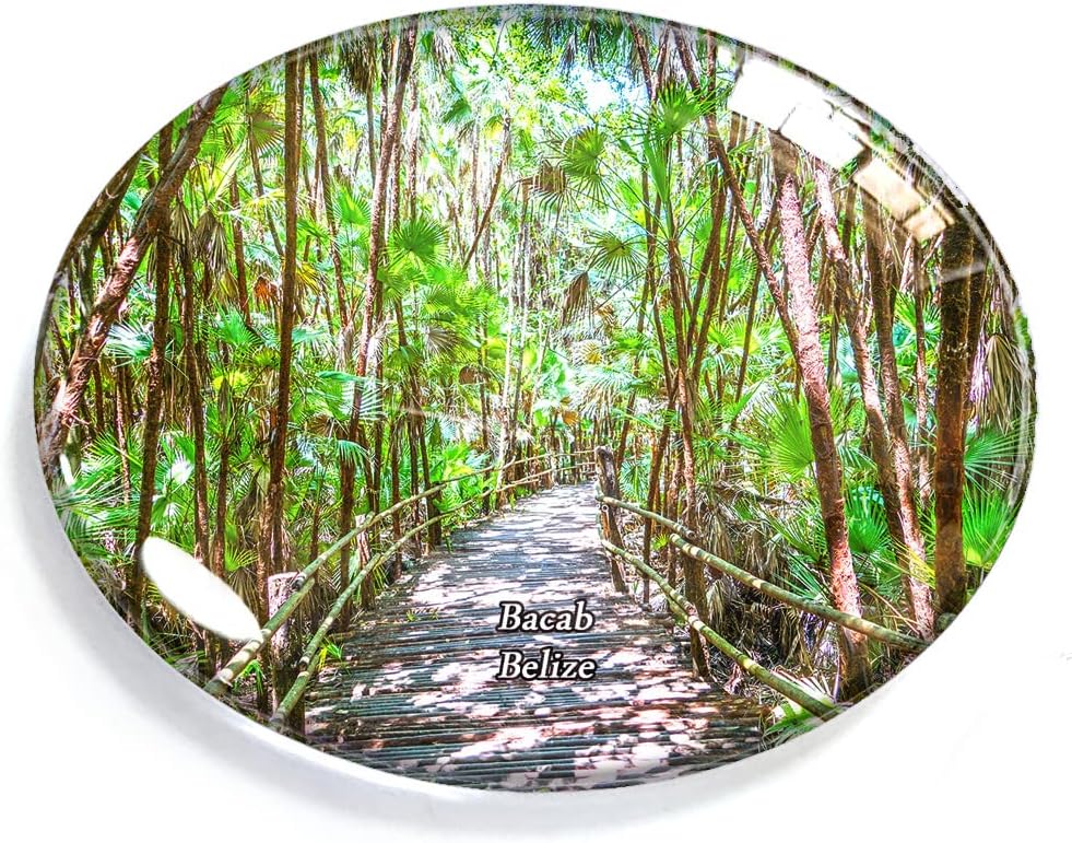 Amazon.com: Bacab Belize Magnet Fridge Refrigerator Freezer Magnet ...