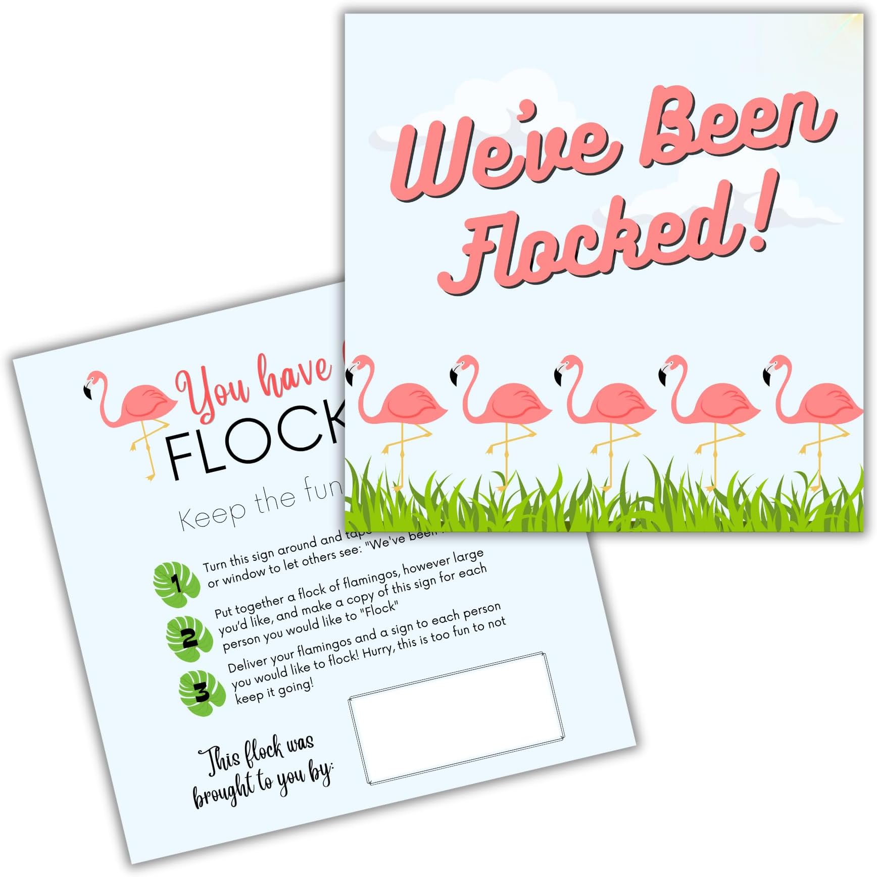 Amazon.com : You’ve Been Flocked Door Signs Flock Your Neighbors Game ...