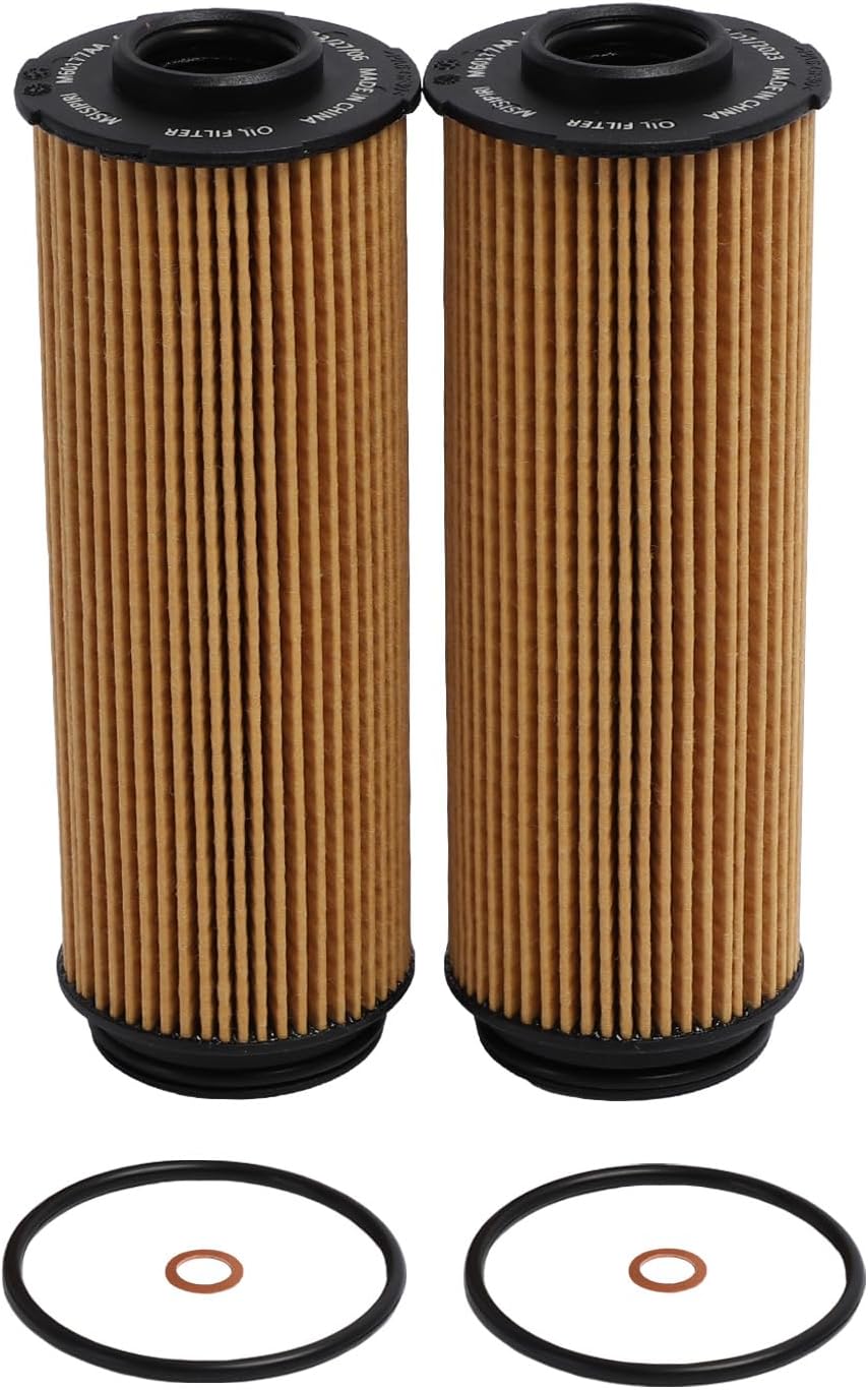 Amazon.com: MSISIPIRI Premium Oil Filter, 2PCS, Compatible with Select ...