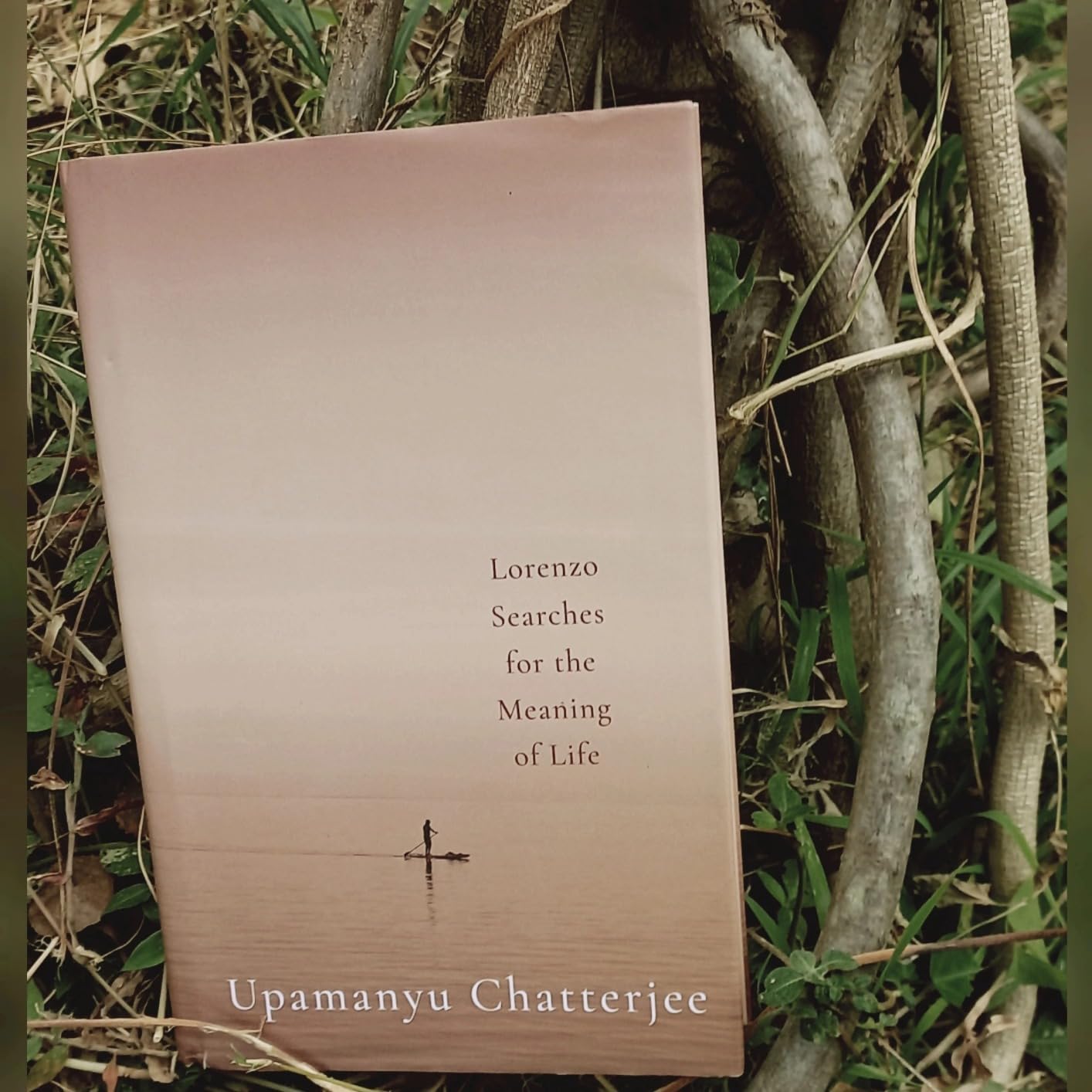 Lorenzo Searches for the Meaning of Life : Upamanyu Chatterjee: Amazon ...