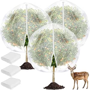 Amazon.com: Tetutor 10x10 FT Fruit Trees Netting with Zipper,3Pcs Large Tree Nets for Fruit ...