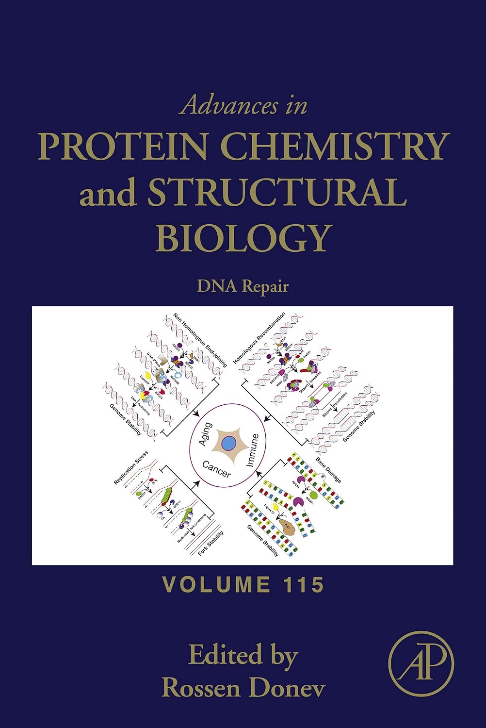 DNA Repair (Advances in Protein Chemistry and Structural Biology Book ...