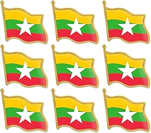 Amazon.com: 12/Pcs Myanmar Flag Lapel Pins Bulk - Metal Burma Burmese ...