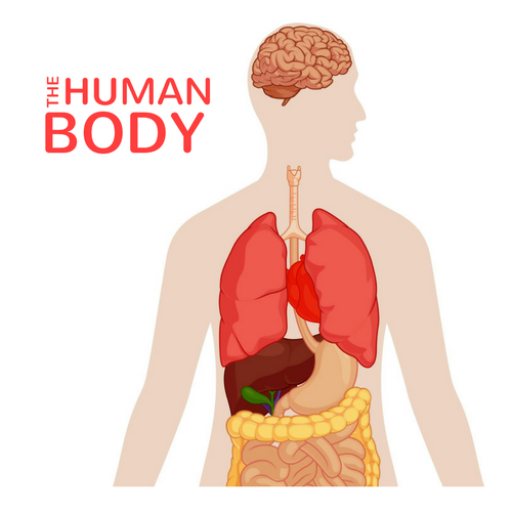 The Human Body - App on Amazon Appstore
