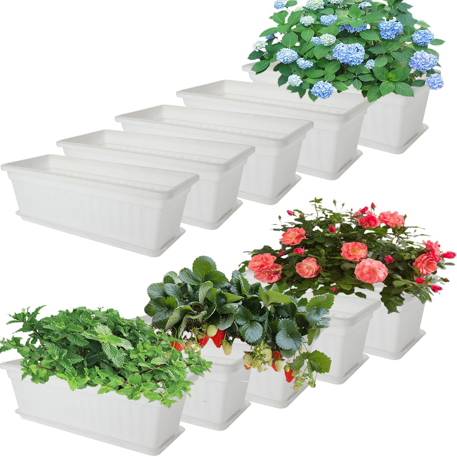 Amazon.com : Acrux7 10 Pack Plastic Window Boxes Planters 17x7.5x5.5 ...