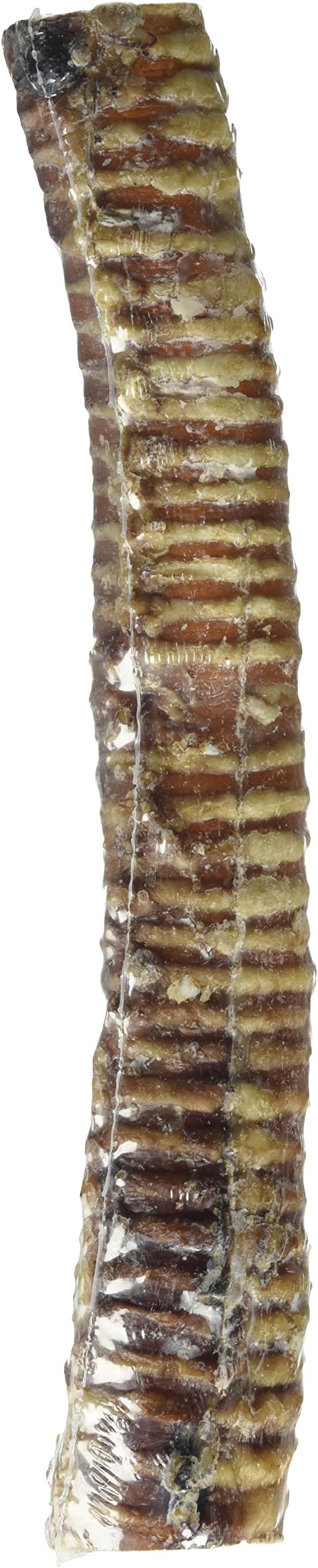 Amazon.com : Jones Natural Chews 10in K9 Bacon Roll Shrink-wrap ...