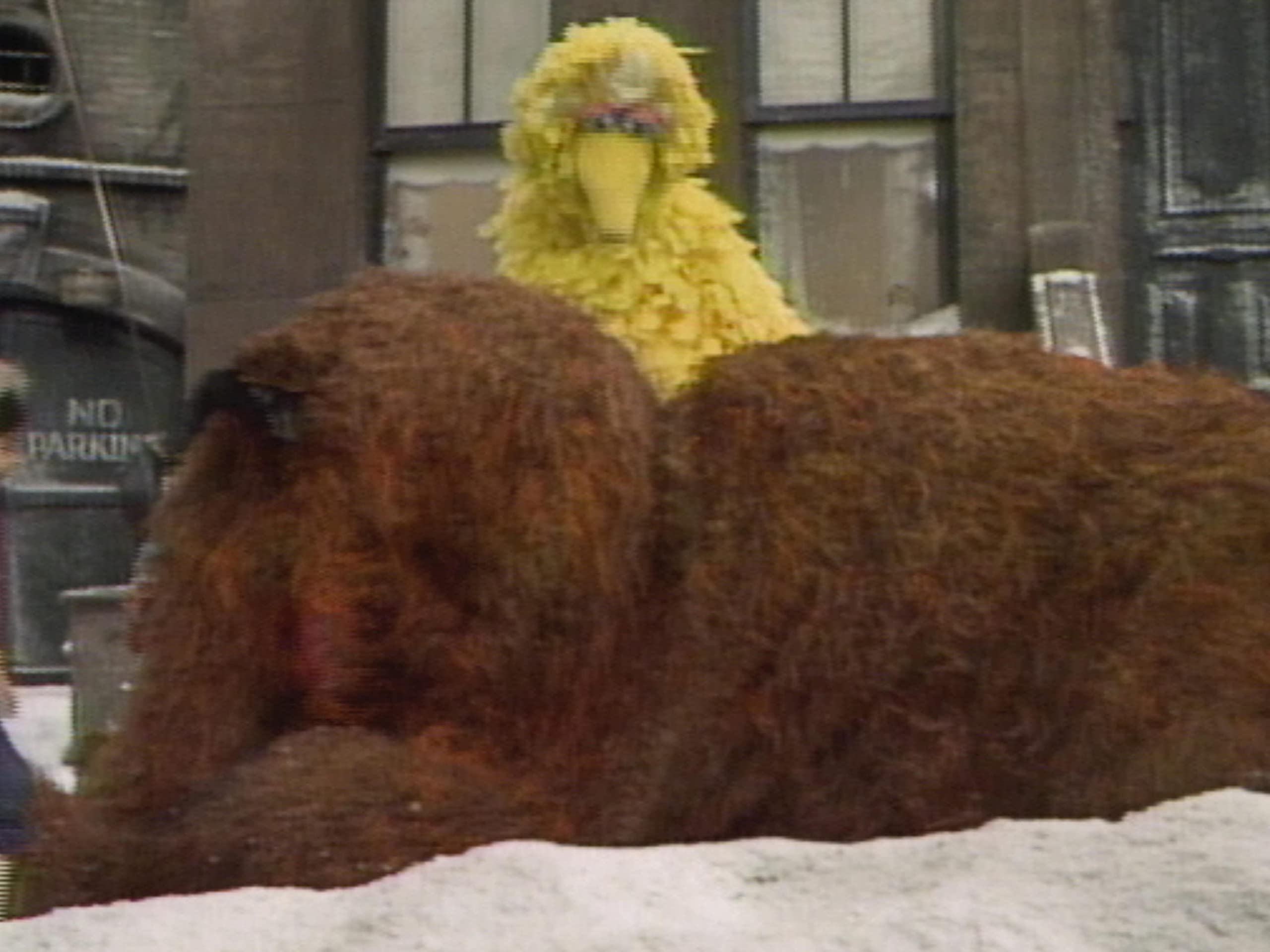 Watch Sesame Street - Season 7 | Prime Video