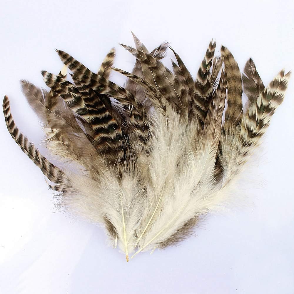 Amazon.com: LolliBeads (TM) 50 Pcs Natural Brown Goose Feather with ...