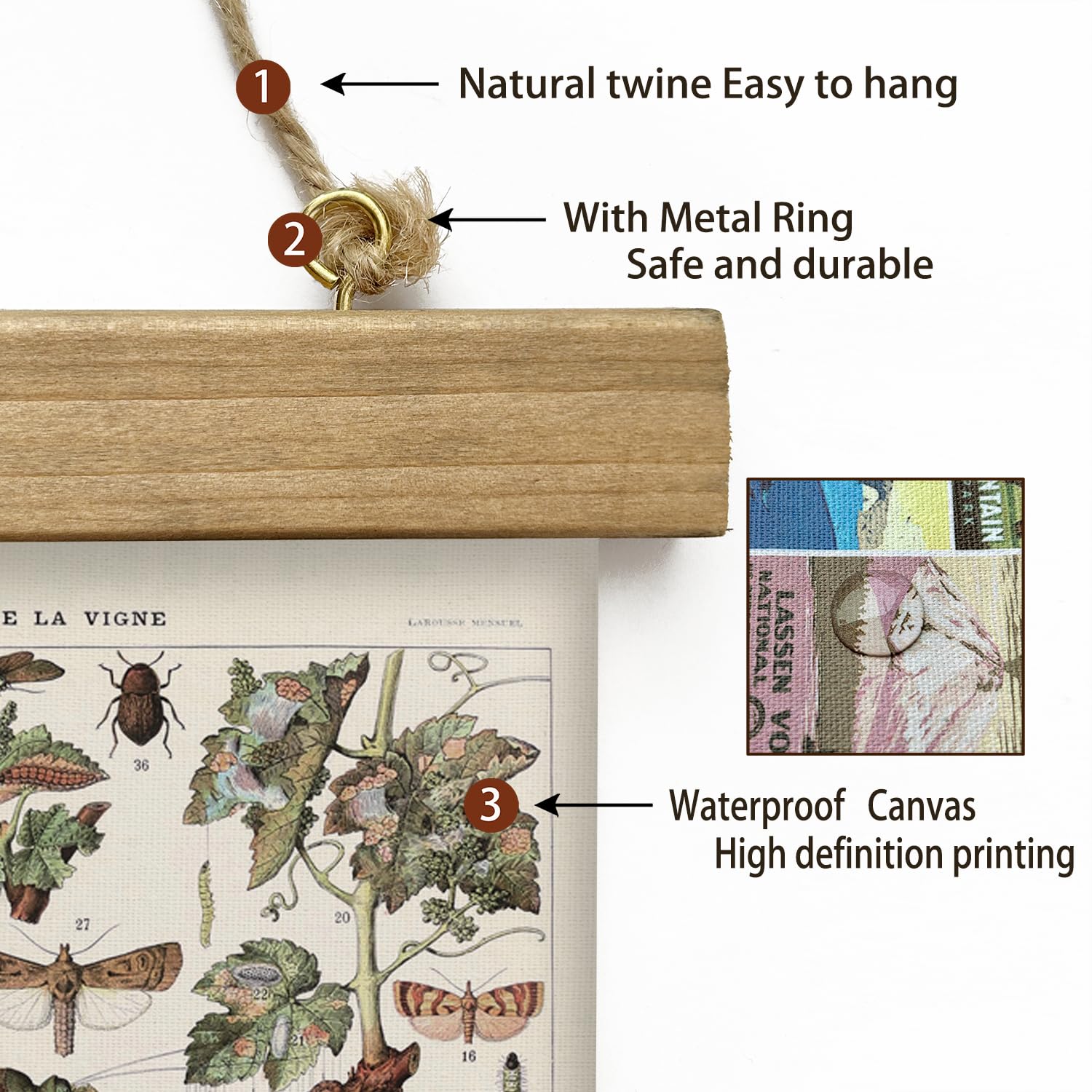 Snapklik.com : XIAOAIKA Vintage Vineyard Pests Identification Chart ...