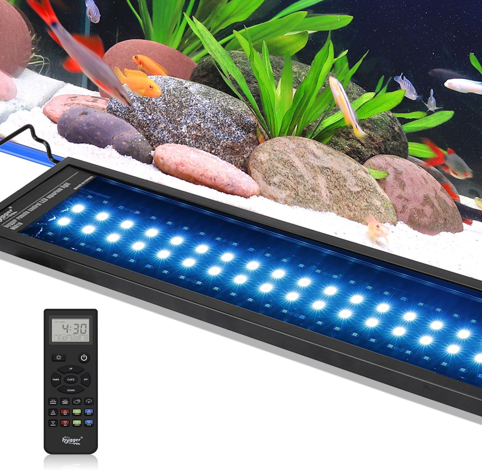Amazon.com : Current USA Satellite Freshwater LED Plus Light for ...