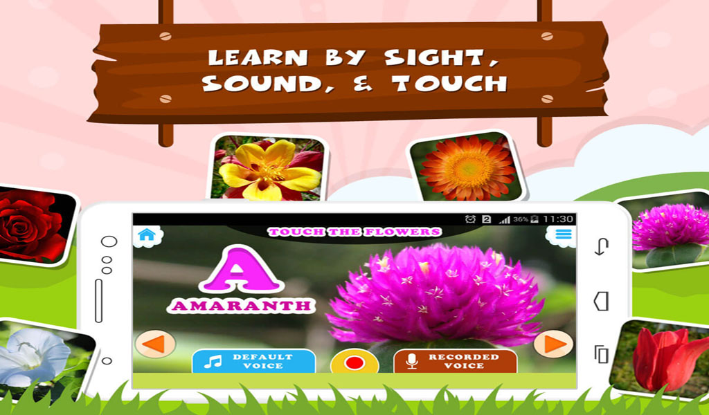 Learn Flower Names - Kids Fun - App on Amazon Appstore