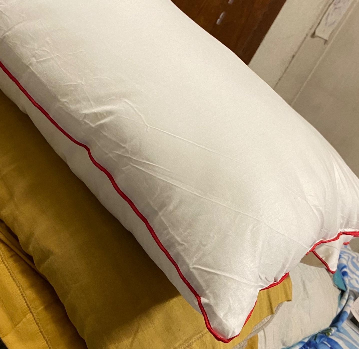 Avekin 100% Pure Cotton + Reliance Fiber Filled Pillows Set of 2 - (17 ...