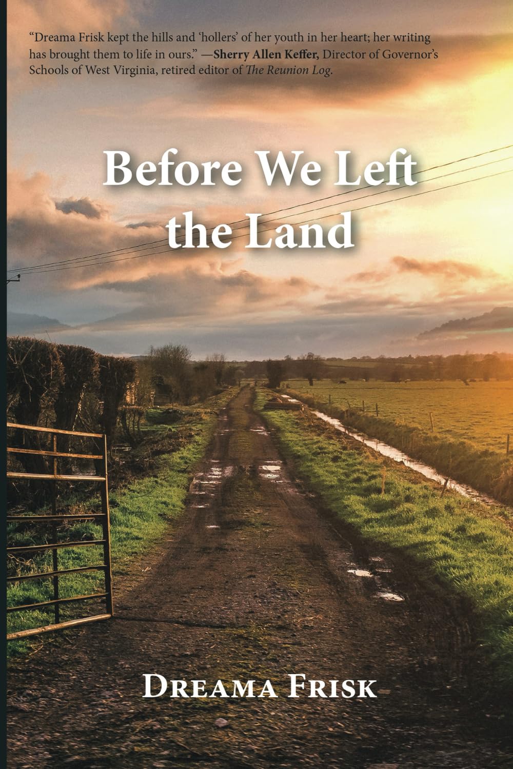 Amazon.com: Before We Left the Land: 9781952439872: Frisk, Dreama Wyant ...