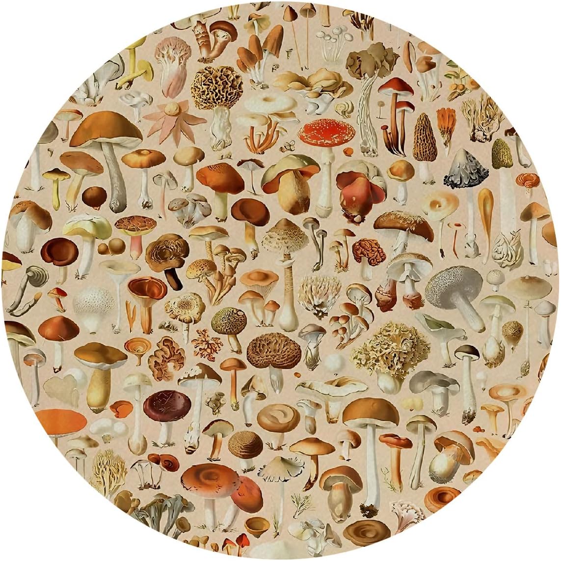 Amazon.com: QUICQOD Vintage Botanical Mushroom Champignon Cottagecore ...